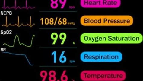 Medical Equipment How To Read A Vital Signs Monitor