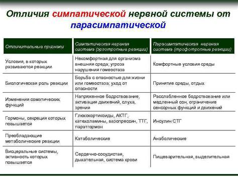 Лекция Вегетативная нервная система Общие черты вегетативной