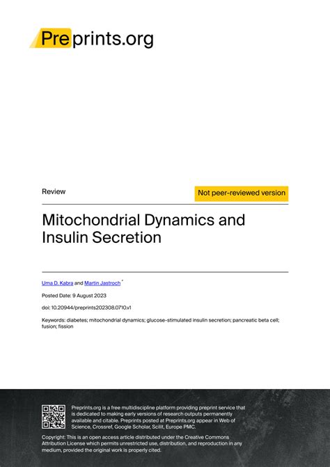 PDF Mitochondrial Dynamics And Insulin Secretion