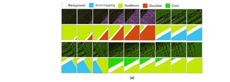 Flowchart Of Production Datasets Download Scientific Diagram