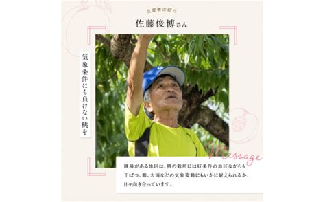 福島県産 まどか 3kg 2024年8月中旬～2024年8月下旬発送 先行予約 予約 大玉 固め 伊達の桃 桃 もも モモ 果物 くだもの