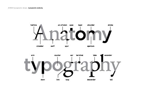 Typography Anatomy Dvb201 Dvb201 Typographic Design Typographic