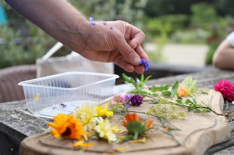 Eetbare Bloemen Op Je Bord Van Sergio Herman Tot Peter Goossens