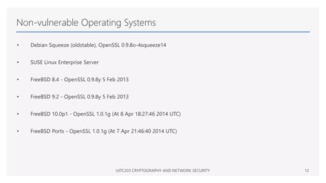 Heartbleed Bug A Case Study PPTX