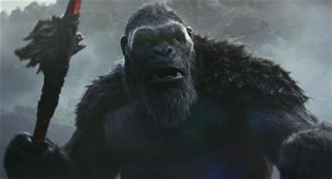 Godzilla X Kong The New Empire Últimas Noticias En