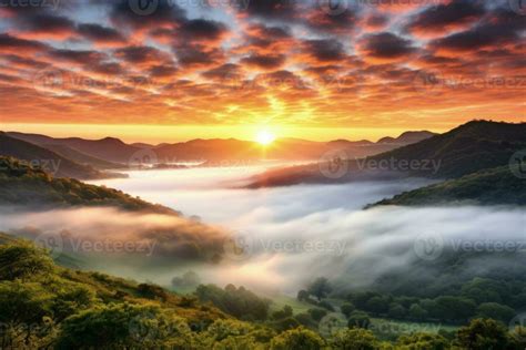Ai Generated Sunrise In The Misty Morning Hd Background Wallpaper