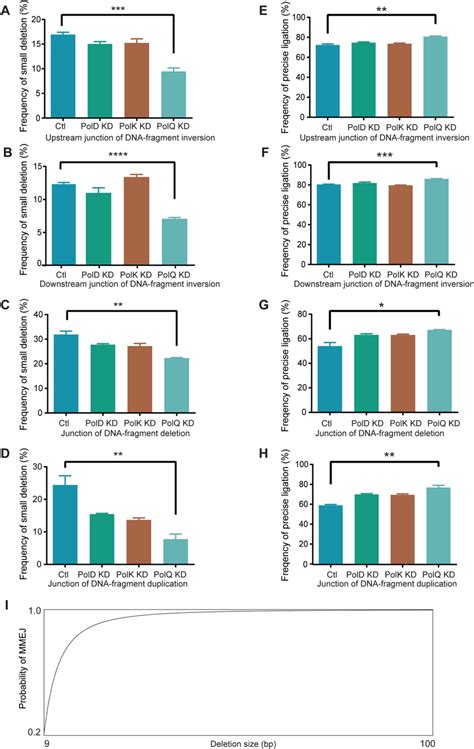 Polθ Promotes Small Deletions Of Chromosomal Rearrangements Download Scientific Diagram