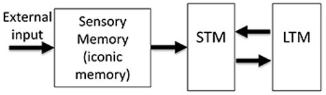 Sensory Memory Diagram