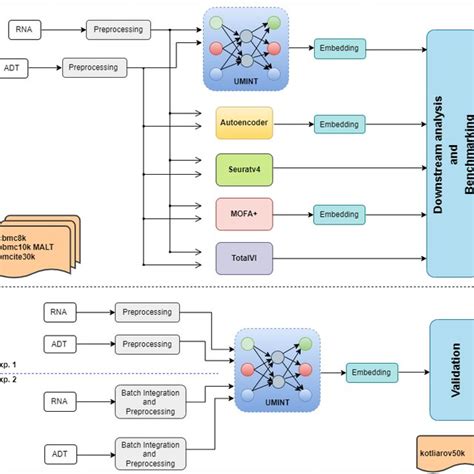 a graphical abstract showing the overall workflow of the methods used