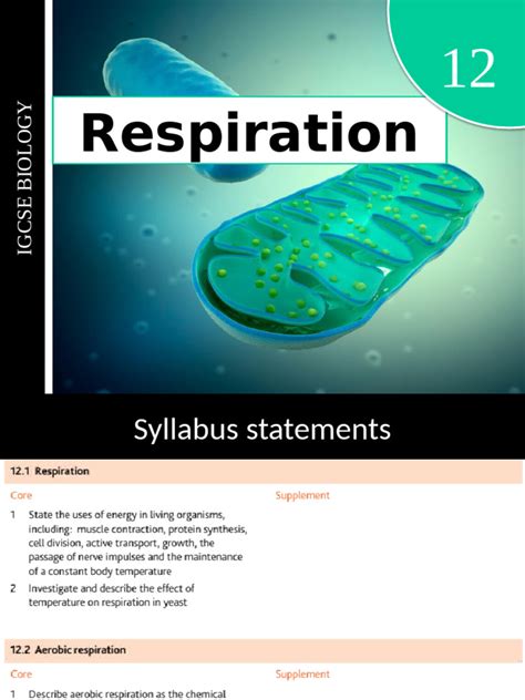 Igcse Respiration Edited 2024 Pdf Cellular Respiration Carbon Dioxide
