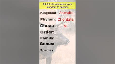 The Fda Requires Nutritional Labels To Include Levels Of Classification