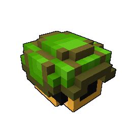 Turtle Shell Item Trovesaurus Turtle Shell Item Trovesaurus