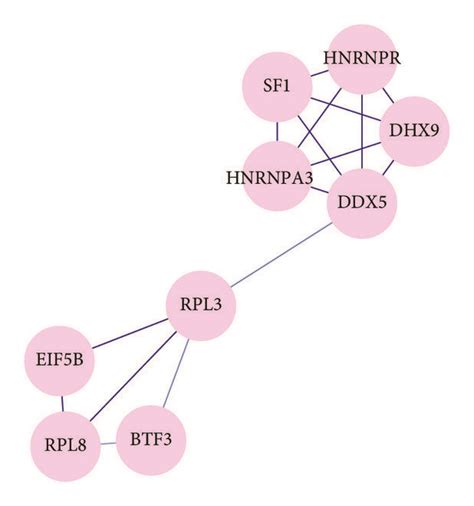 Proteinprotein Interaction Ppi Network Analysis Of Deps A
