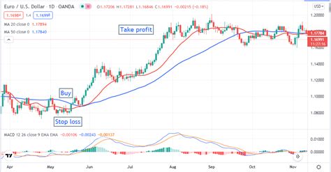 Forex Trading Profit Per Day How Much You Can Make By Trading In 2021