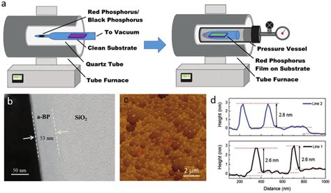 A Schematic For Cvd Growth Of Black Phosphorus 59 Republished With Download Scientific