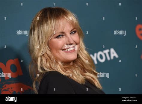 Los Angeles Usa 27th Jan 2024 Malin Akerman Arriving At The Ema