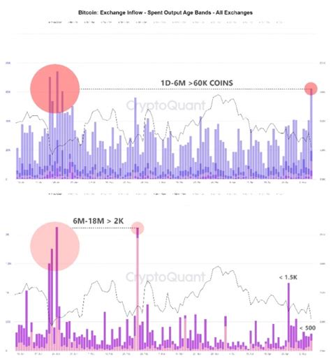 비트코인 단기 보유자 3만6000달러 선에서 투매