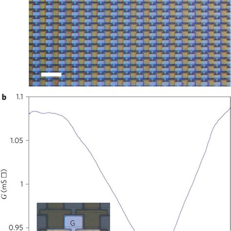 Graphene Transistor Array With A Density Of 40 000 Devices Per Cm2 Download Scientific Diagram