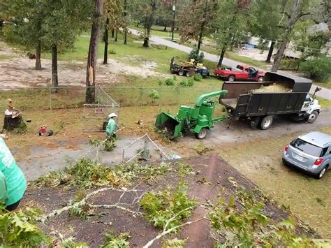 Use Our Dependable Tree Service In Houston TX