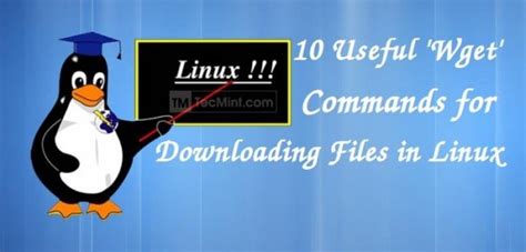 10 Scp Commands To Transfer Filesfolders In Linux