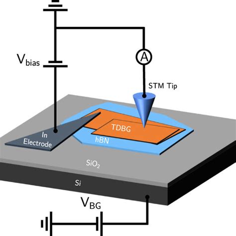 Schematic Device Geometry For STM Experiments V Bias And V Bg Denote