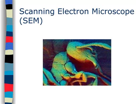Electron Microscope Ppt