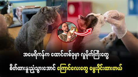 အမေရိကန်က ထောင်တစ်ခုမှာ လူမိုက်ကြီးတွေ စိတ်ထားနူးညံ့သွားအောင် ကြောင