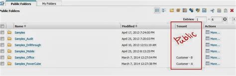 Business Analytics Ibm Cognos Bi Setting Up Multi Tenancy Environment Using Custom Java Provider