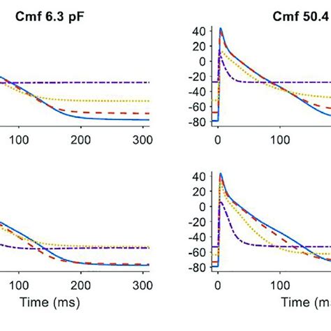 Effect Of Fibroblast And Myocyte Coupling Under Persistent Atrial Download Scientific Diagram
