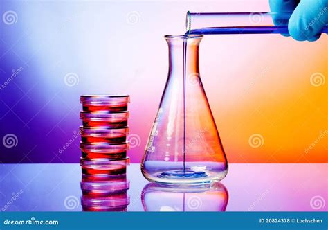 Flask In Lab Stock Photo Image Of Test Pharmaceutical 20824378