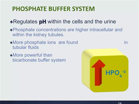 Acid Base Balance PPT