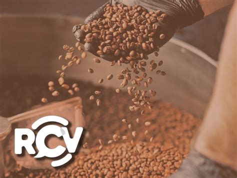 Honduras Exporta 15 Millones De Quintales De Café