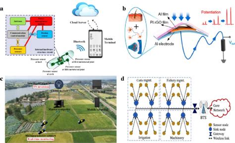 Intelligent Sensor With A Certain Detection Of A External