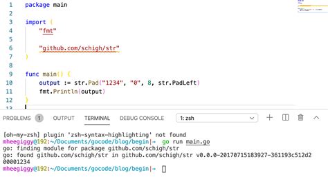 Golang Beginner มาเริ่มต้นกัน เห็นว่าช่วงนี้ภาษา Go มาแรง By Mheegiggy พลังประชา Dev