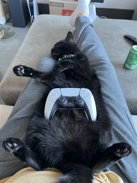 Discovered A New Feature On My Standard Issue Void R Blackcats