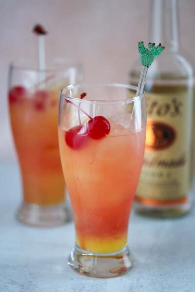 Sex On The Beach Drink Not Overly Sweet Cooked By Julie