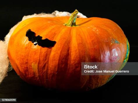 검은 배경이있는 오렌지 할로윈 호박 호박과 공포 거미줄에 부착 된 작은 박쥐 0명에 대한 스톡 사진 및 기타 이미지 0명 거미줄 건강한 식생활 Istock