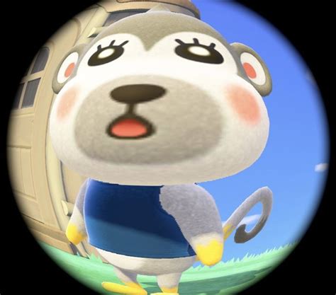 동숲친구들에 있는 젤빠님의 핀 젤리 웃긴 인용구 웃긴