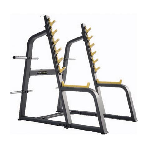 Assisted Squat Rack Bar Weight At Milla Levi Blog