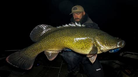 Murray Cod Fishing In Glenlyon Dam Youtube