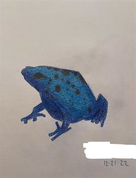 I Drew The Frog R Waterparksband