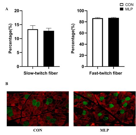 Effect Of Dietary Supplementation With Mulberry Leaf Powder Mlp On Download Scientific