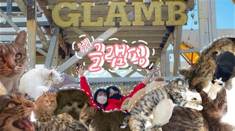 커플 브이로그 ☀️포글 커플의 첫 글램핑🏡 근데 이제 고양이만 나오는🐱 여기 고양이 섬인가요 In 제부도 글램비 Youtube