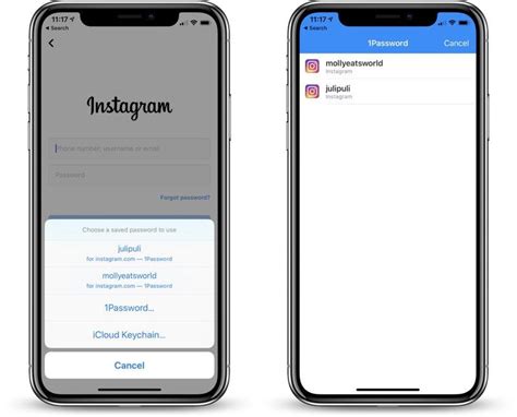 How Apples Ios 12 Password Autofill Feature Works With 1password