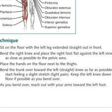 Seated Hip External Rotator And Hip Extensor Stretch By Vincent H Exercise How To Skimble
