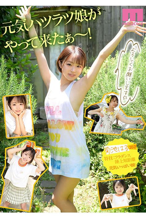 菊池はる菊池春番剧作品midv 541预览介绍封面 探点库