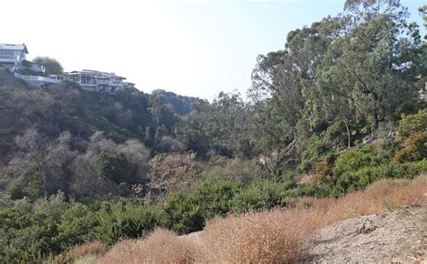 Newport Beach Keeps An Eye On Buck Gullys Brush During Fire Season
