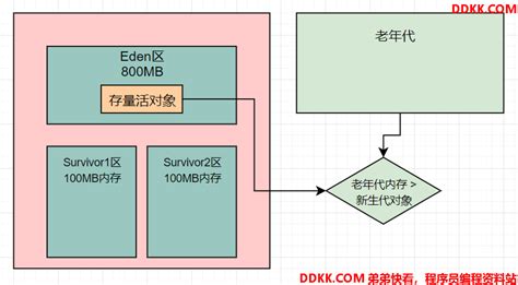 jvm 调优实战 面试题：年轻代和老年代分别适合什么样的垃圾回收算法？ 弟弟快看 教程