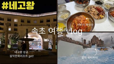 👨‍👩‍👧‍👧vlog 🌊속초 여행 브이로그 네고왕 이벤트🏨한화리조트설악워터피아인간물개들🦭속초아이🎡영금정아바이회