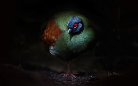 GitHub Adityak OpenCV In These Algorithms We Can See What Can We Do Using OpenCV